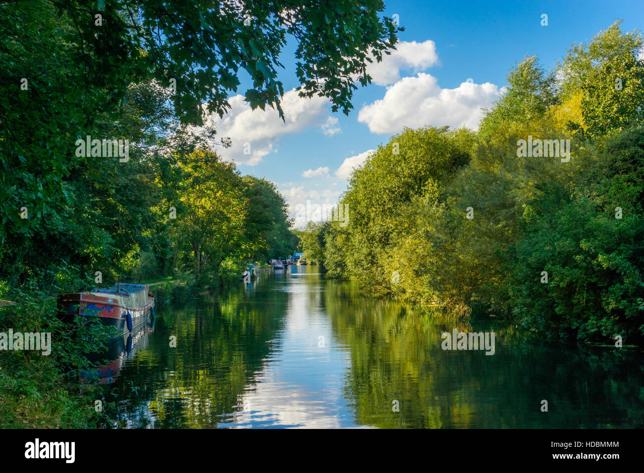 River lea hertfordshire hi-res stock photography and images - Alamy