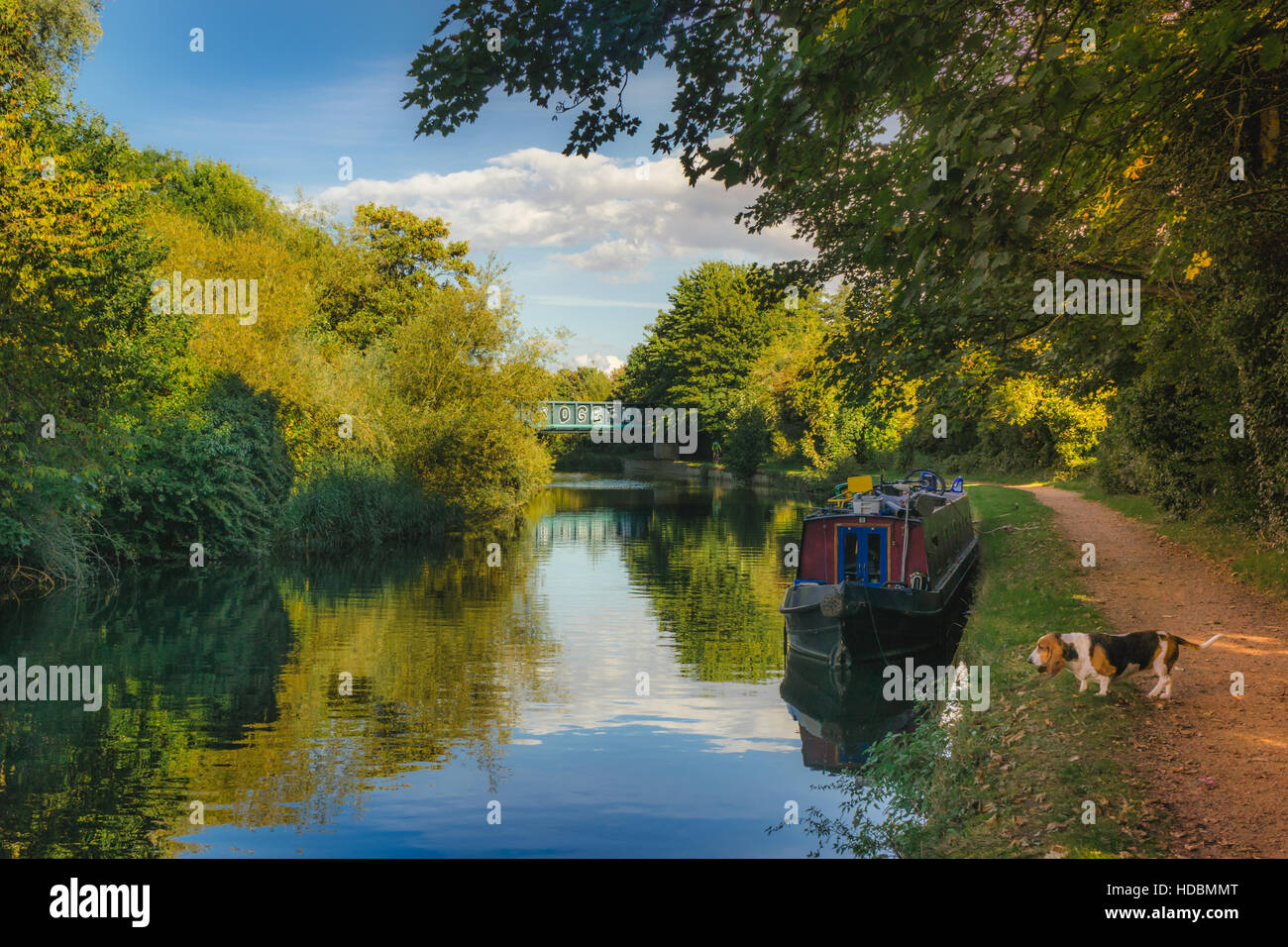Broxbourne river lea hi-res stock photography and images - Alamy