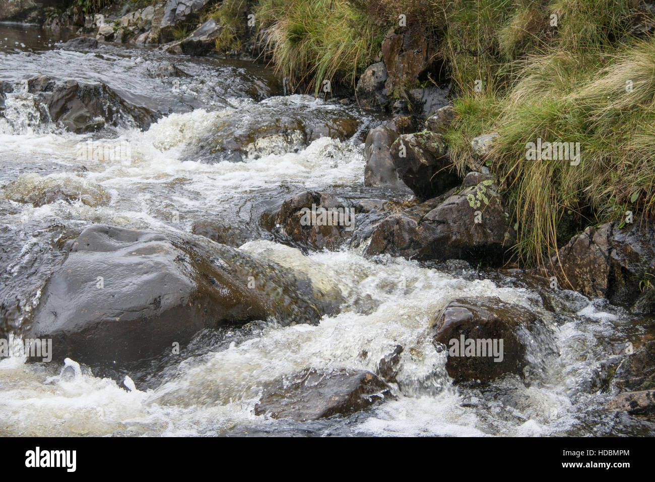 Scottish burn flowing around rocks Stock Photo - Alamy
