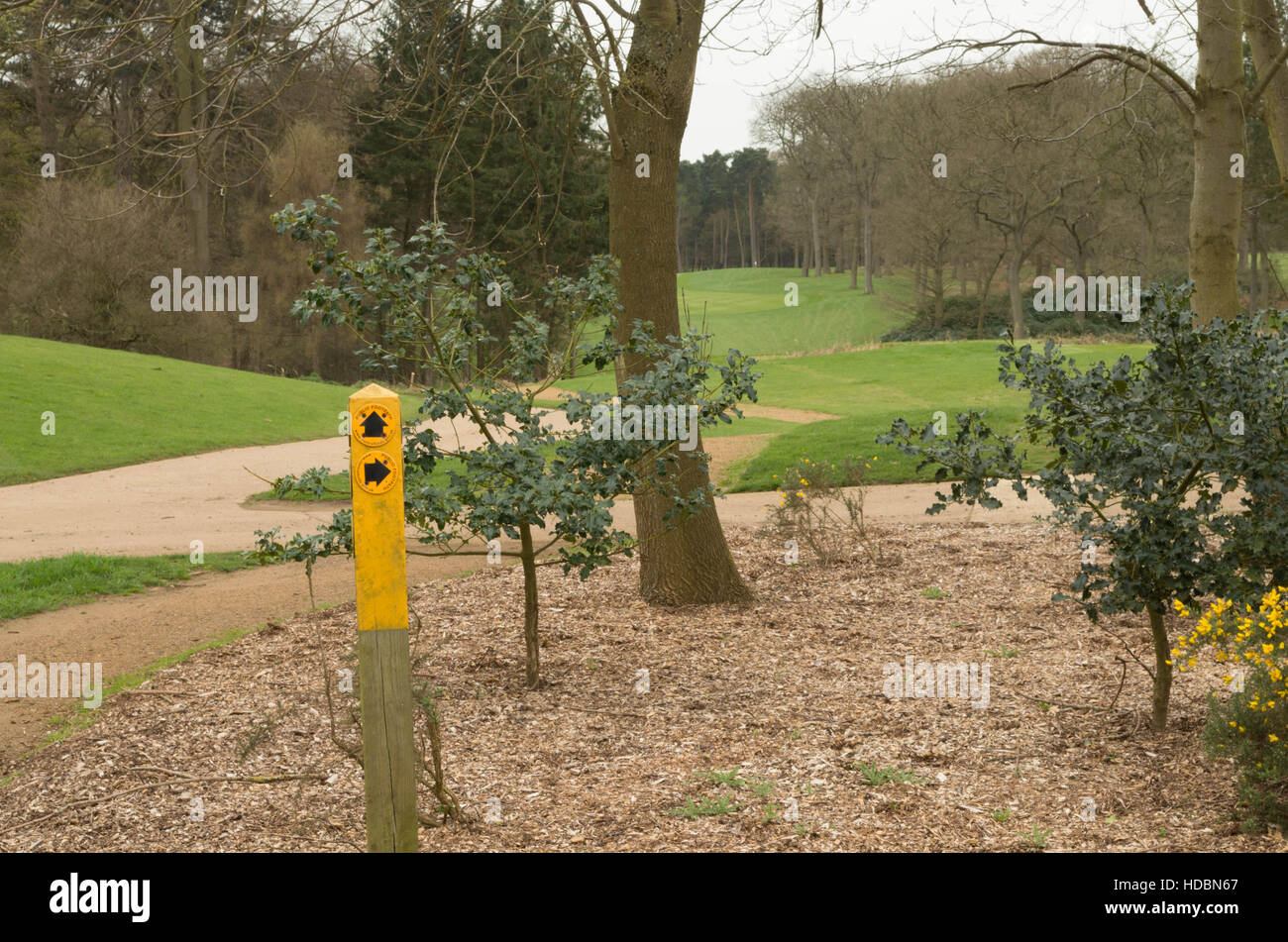 A picture of a yellow waymarker or signpost in a golf course with ...