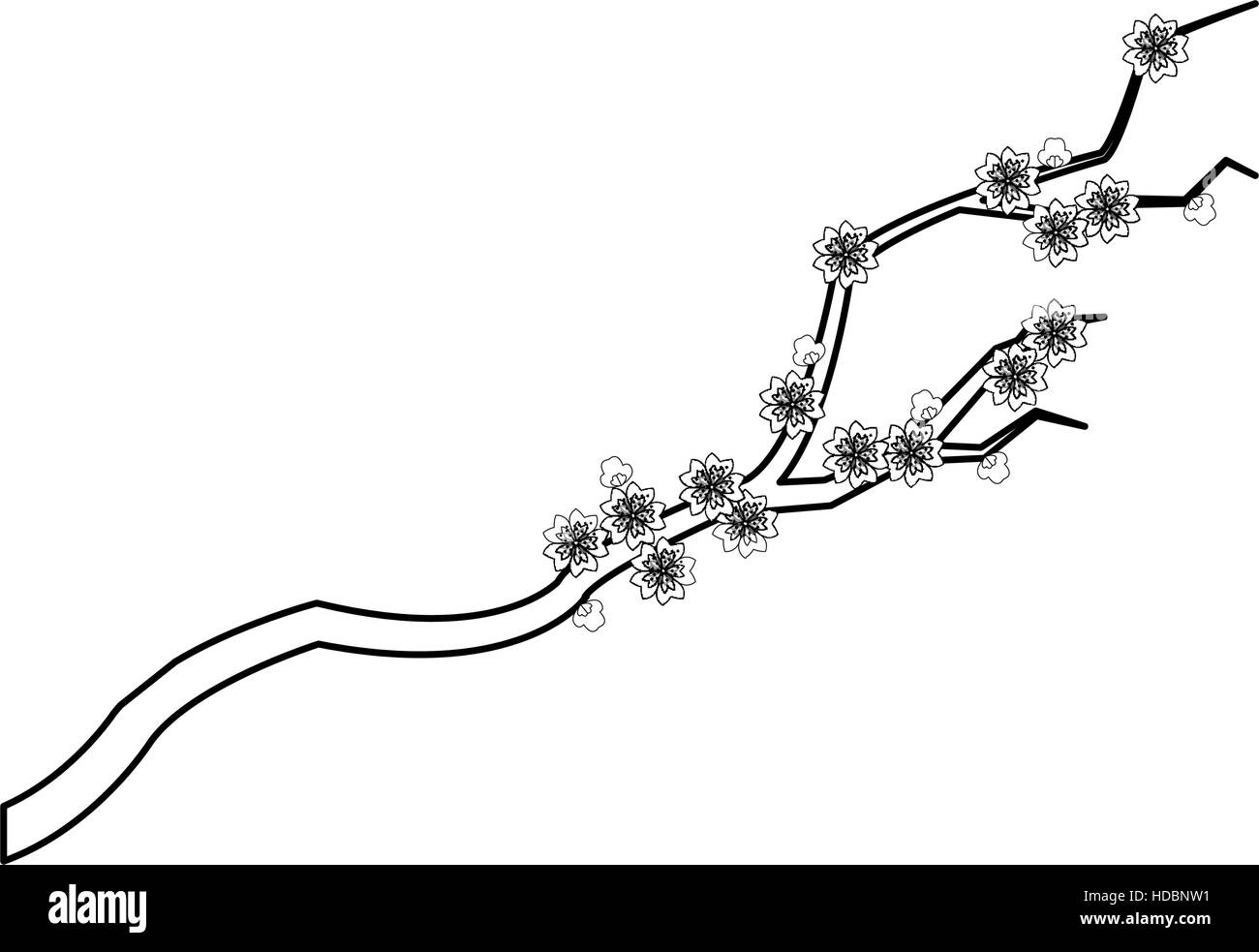 China asia branch Black and White Stock Photos & Images - Alamy