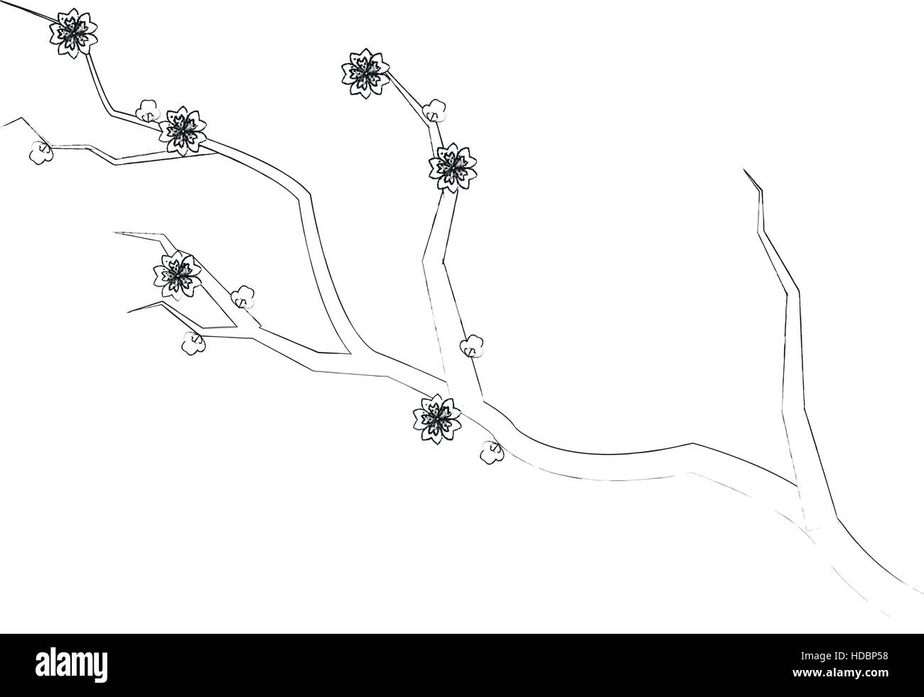 China asia branch Black and White Stock Photos & Images - Alamy