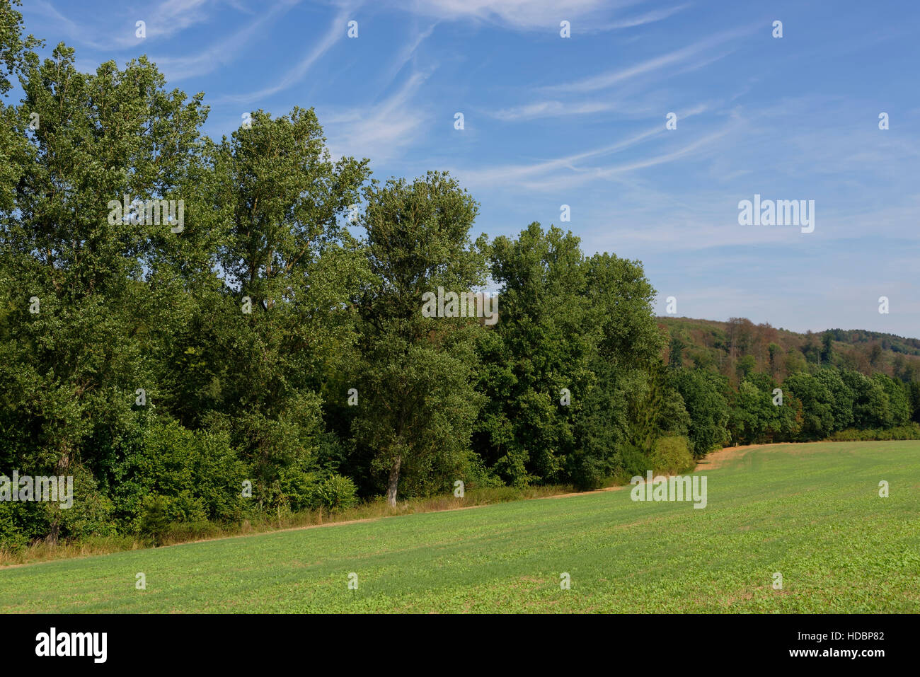 Bodenwerder polle hi-res stock photography and images - Alamy