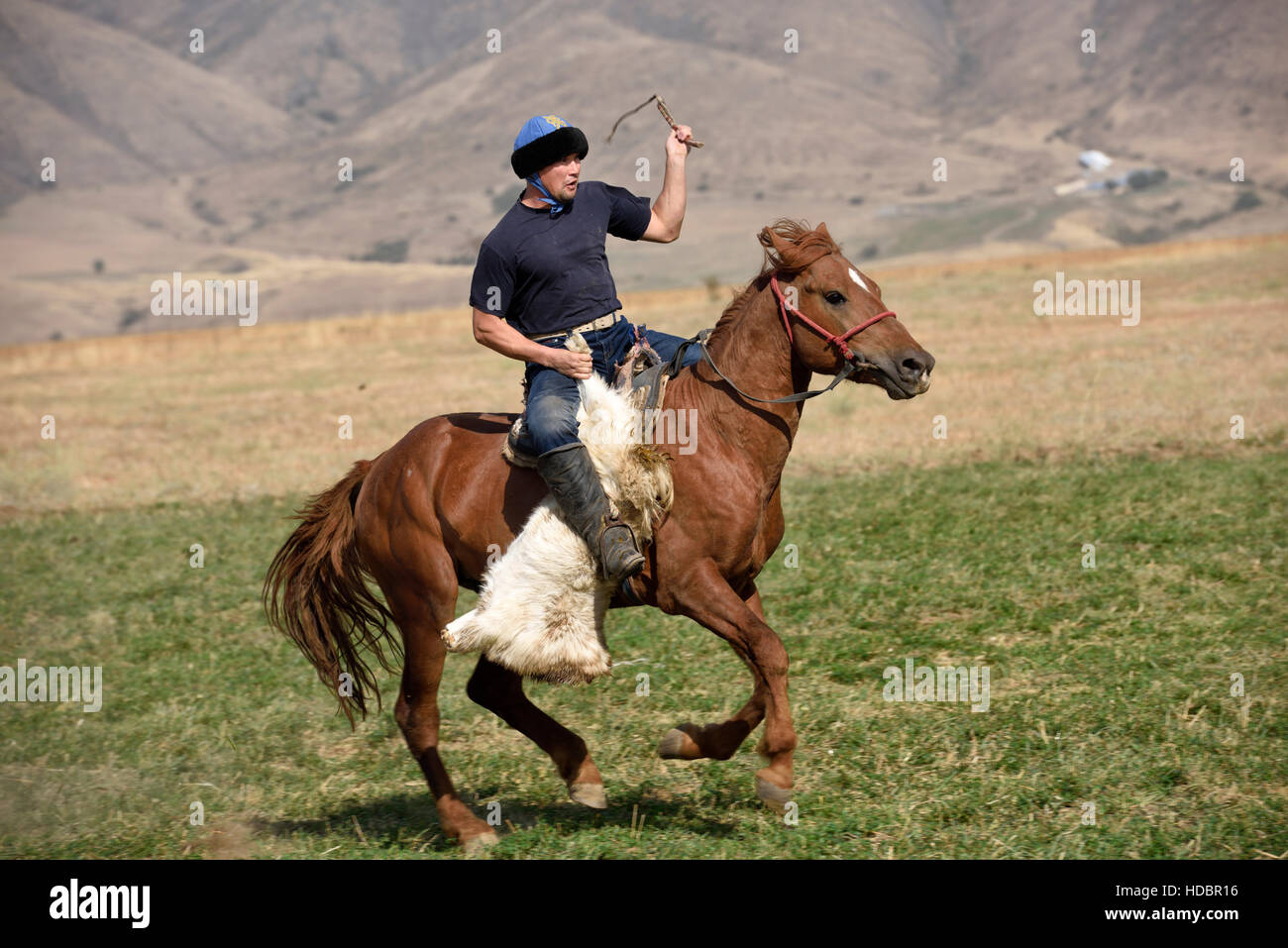 Kokpar kazakhstan hi-res stock photography and images - Alamy