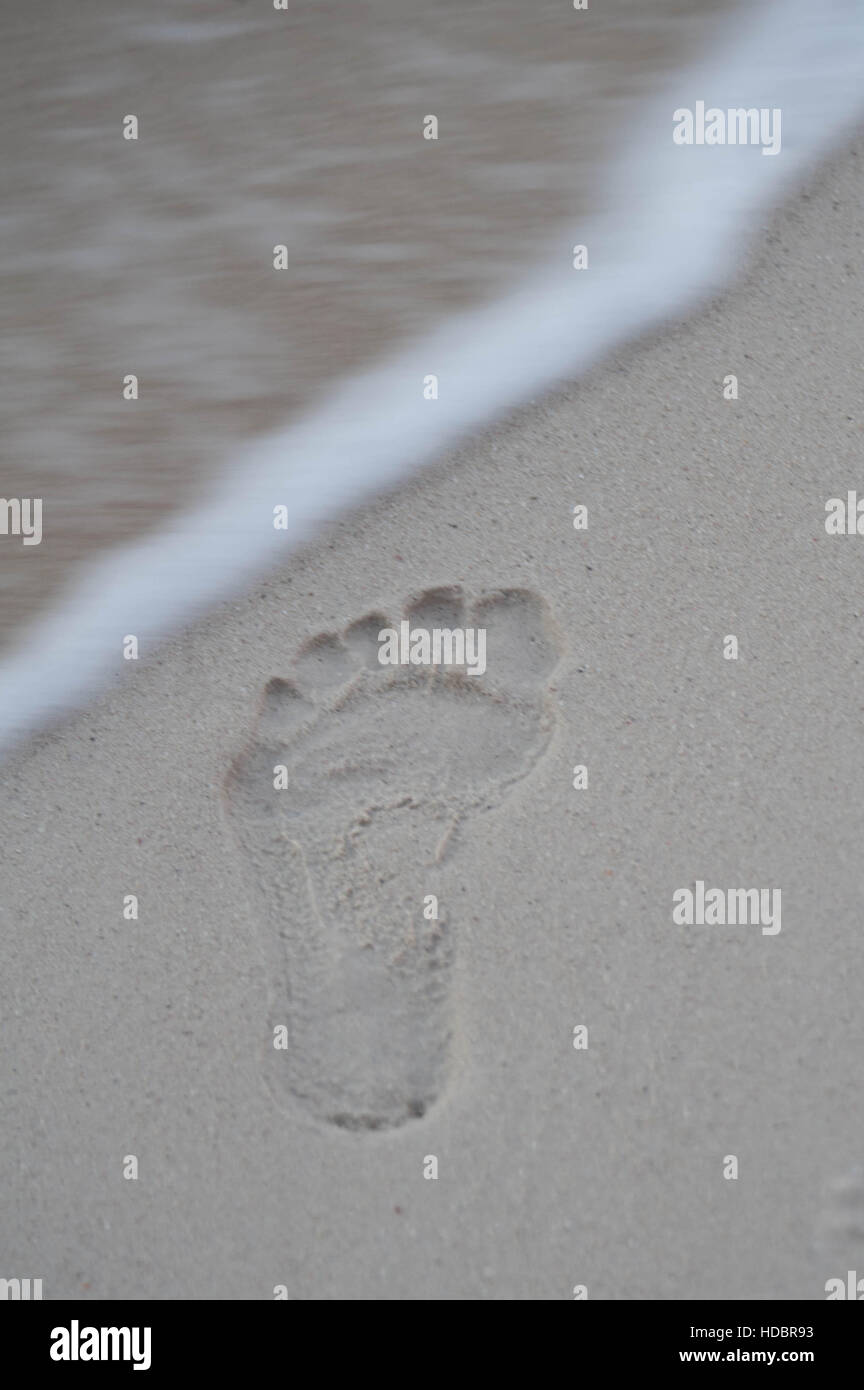 Sunset highlights a single footprint in the sand / beach on the edge of ...