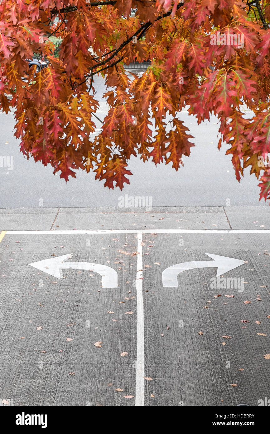 Fall color over the entry to the street, with turn arrows Stock Photo ...
