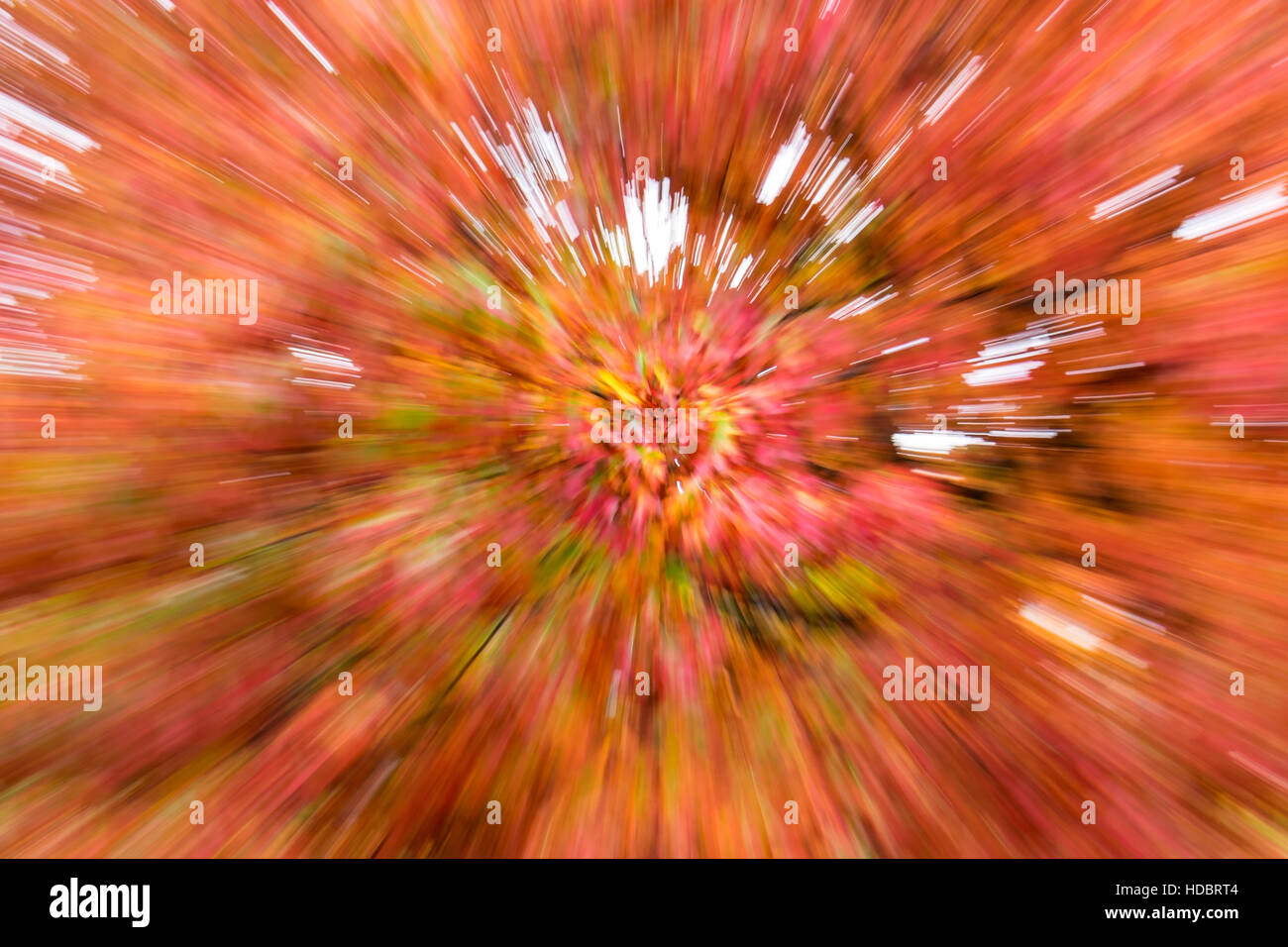 Fall color, abstract leaf zoom blur effect Stock Photo - Alamy