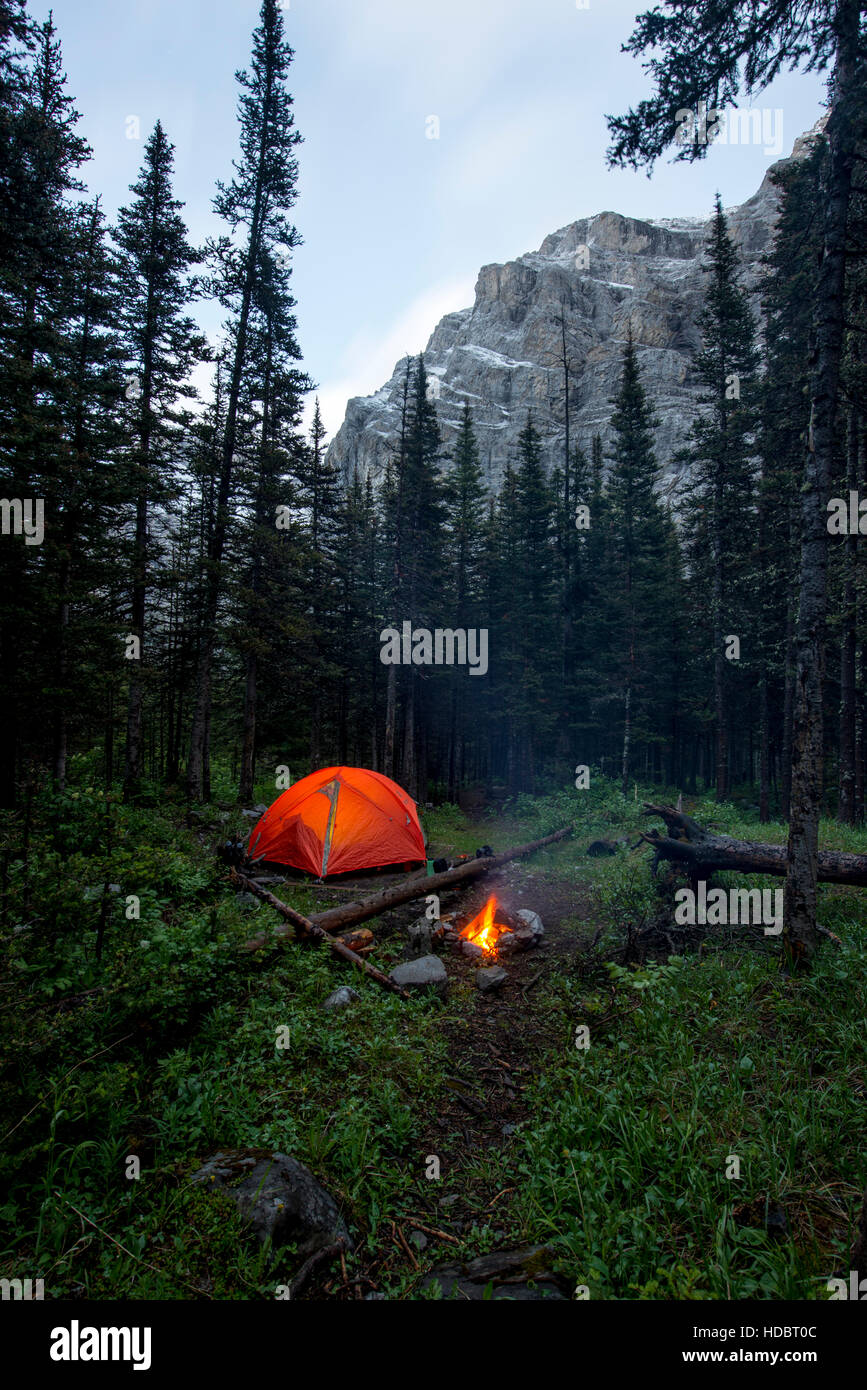 Tent and campfire wild camping in a forest with mountains Stock Photo ...
