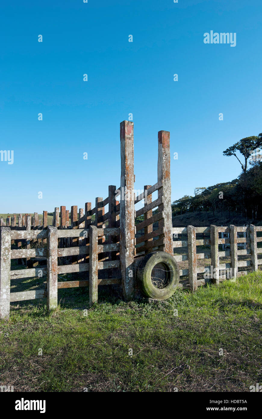 Cattle farm gate hi-res stock photography and images - Alamy