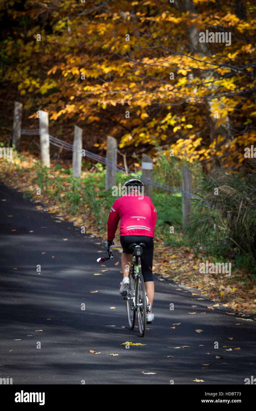Autumn rural road hi-res stock photography and images - Alamy