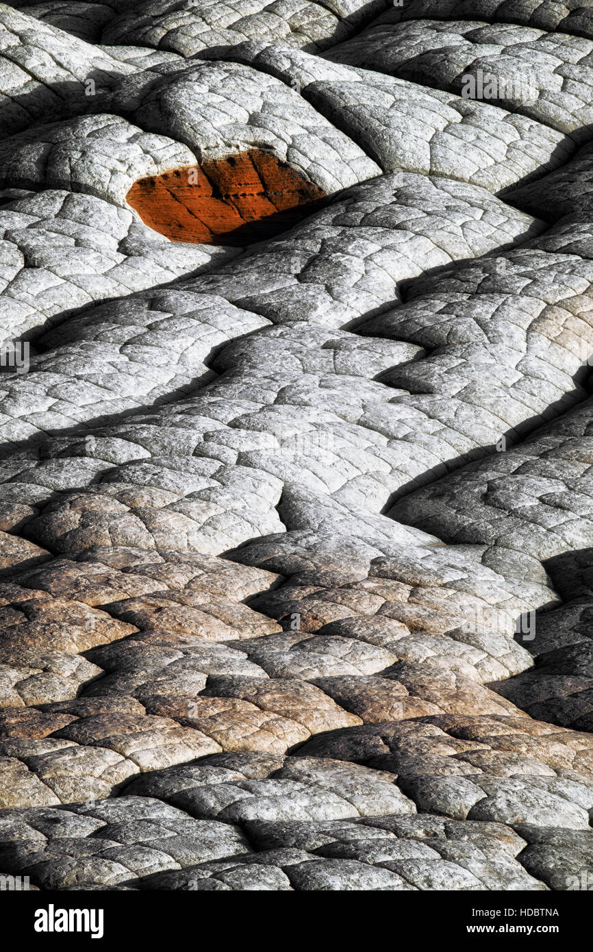 Evening light on the patterns of cross bedding brain rock at White ...