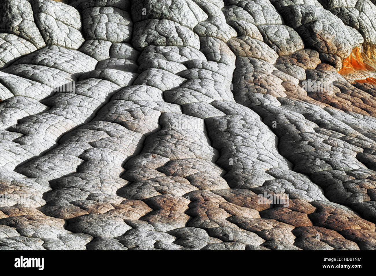 Evening light on the patterns of cross bedding brain rock at White ...