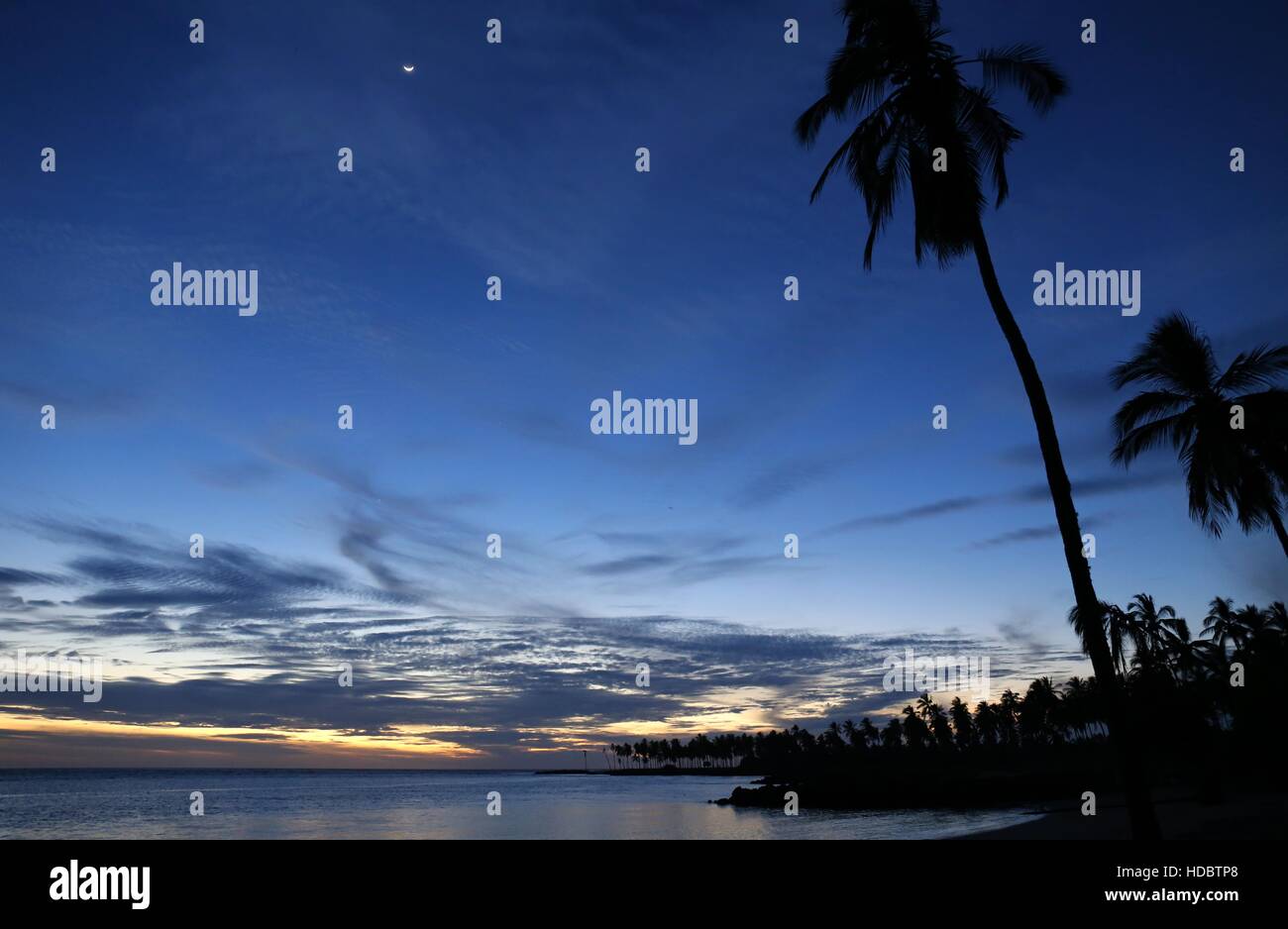 Sunset Cocnut Trees and the Moon Stock Photo - Alamy
