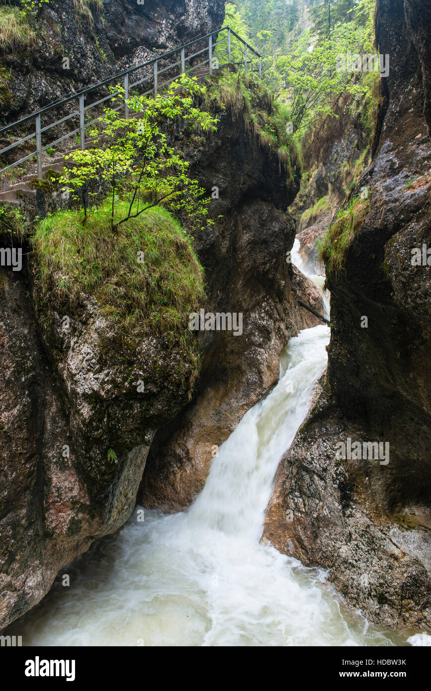 Gorge with stream, Almbachklamm with Almbach, Berchtesgaden Alps ...