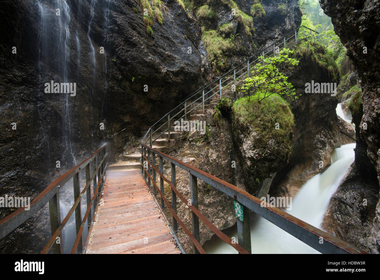 Gorge with stream, Almbachklamm with Almbach, Berchtesgaden Alps ...