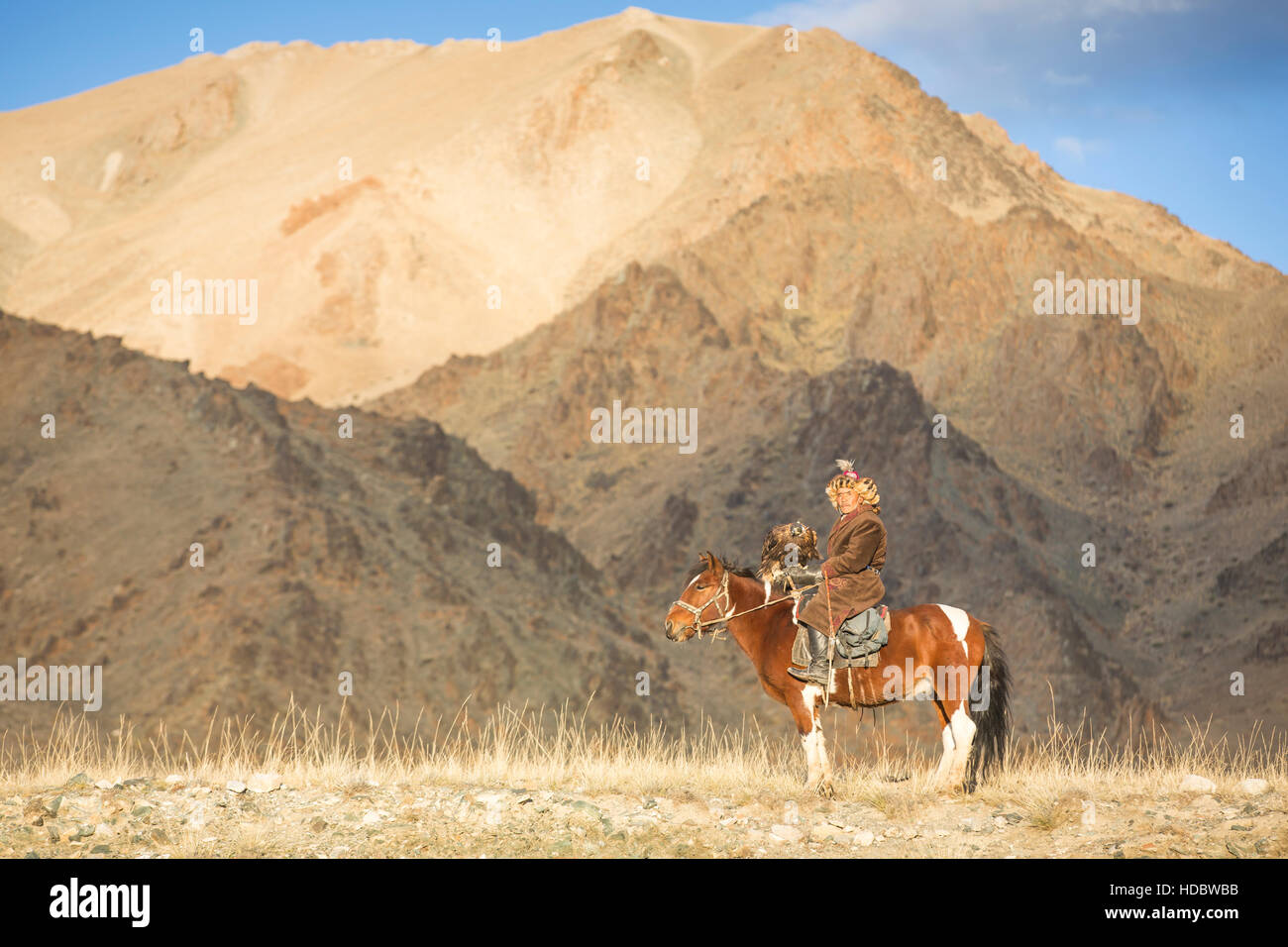 Bayan Ulgii, Mongolia, October 2nd, 2015: Old eagle hunter with his ...