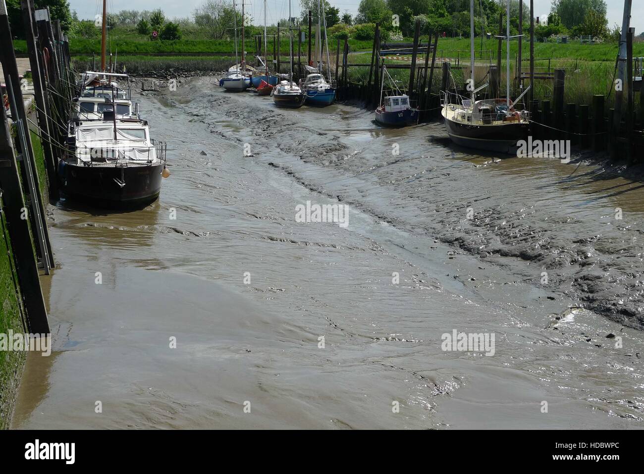 Lillo belgium hi-res stock photography and images - Alamy