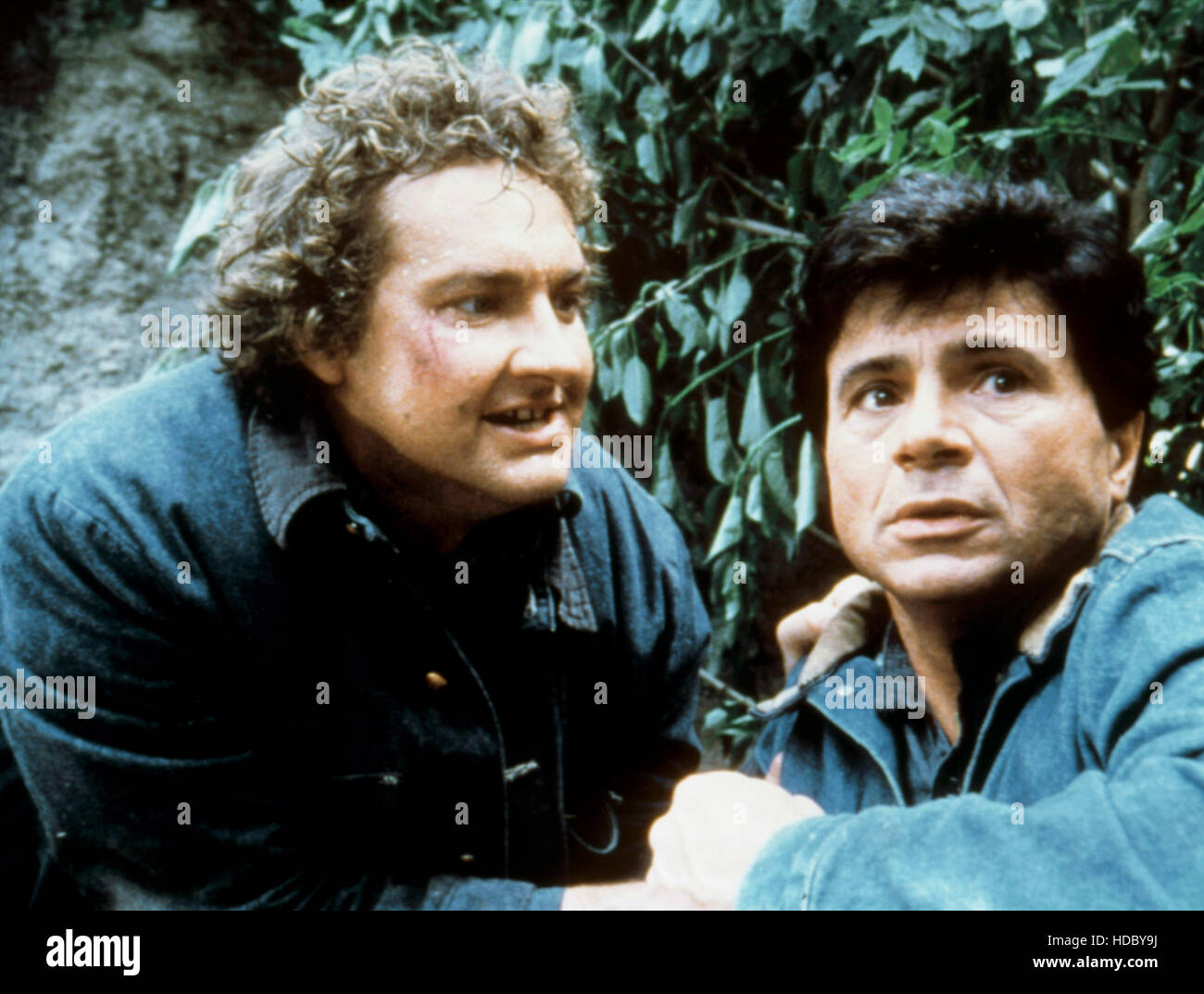 Of Mice And Men 1981