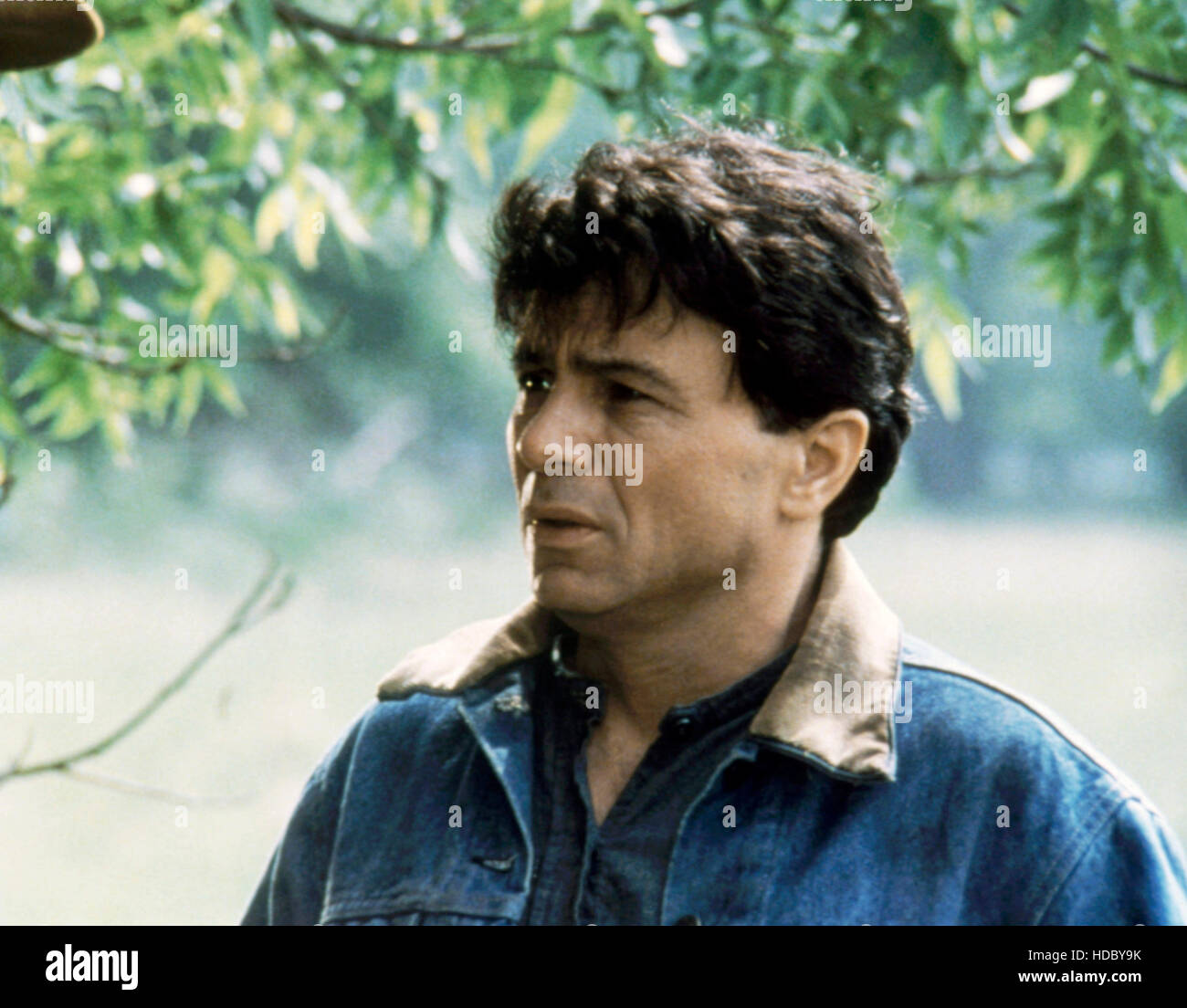 Of Mice And Men 1981