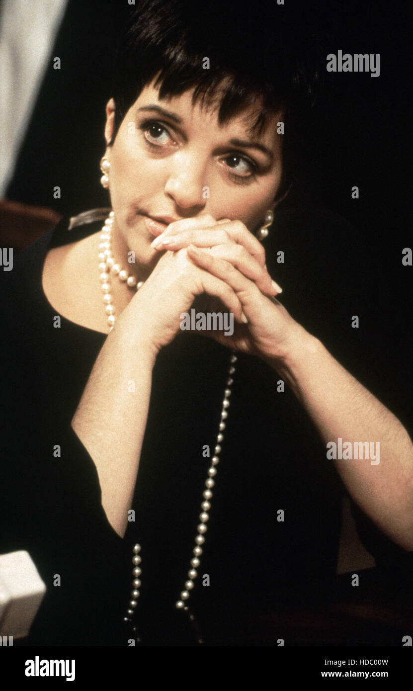 PARALLEL LIVES, Liza Minnelli, 1994, © Showtime Networks/courtesy ...