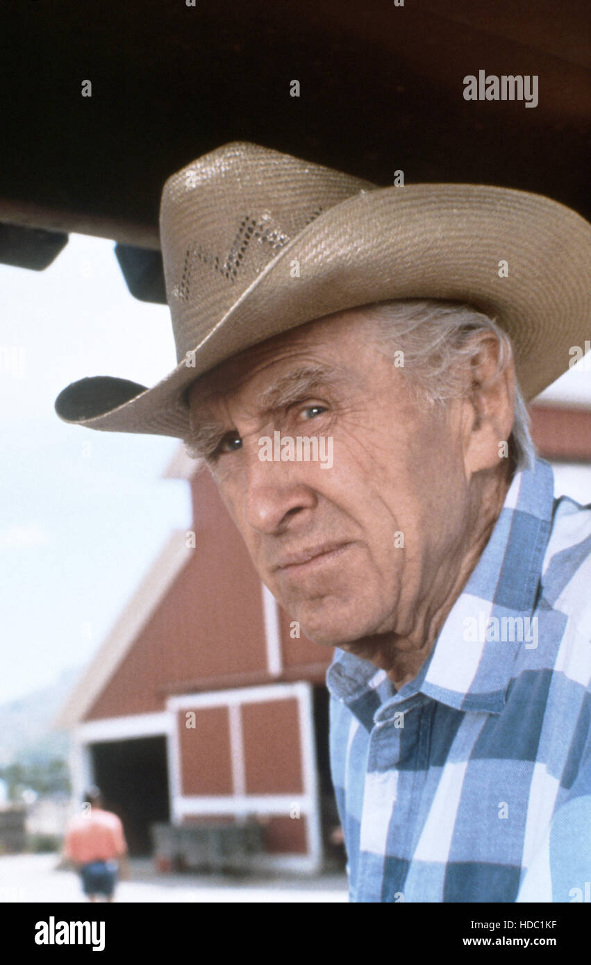 SECRET SINS OF THE FATHER, Lloyd Bridges, 1994, © NBC/courtesy Everett ...