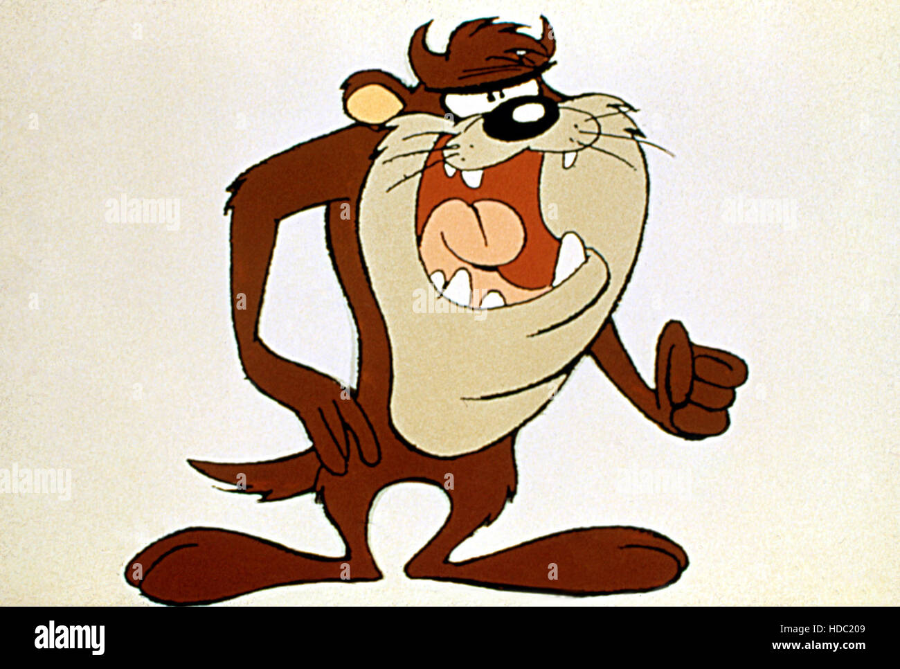 TAZ-MANIA, The Tazmanian Devil, 1991-93, (c)Warner Bros. Television ...