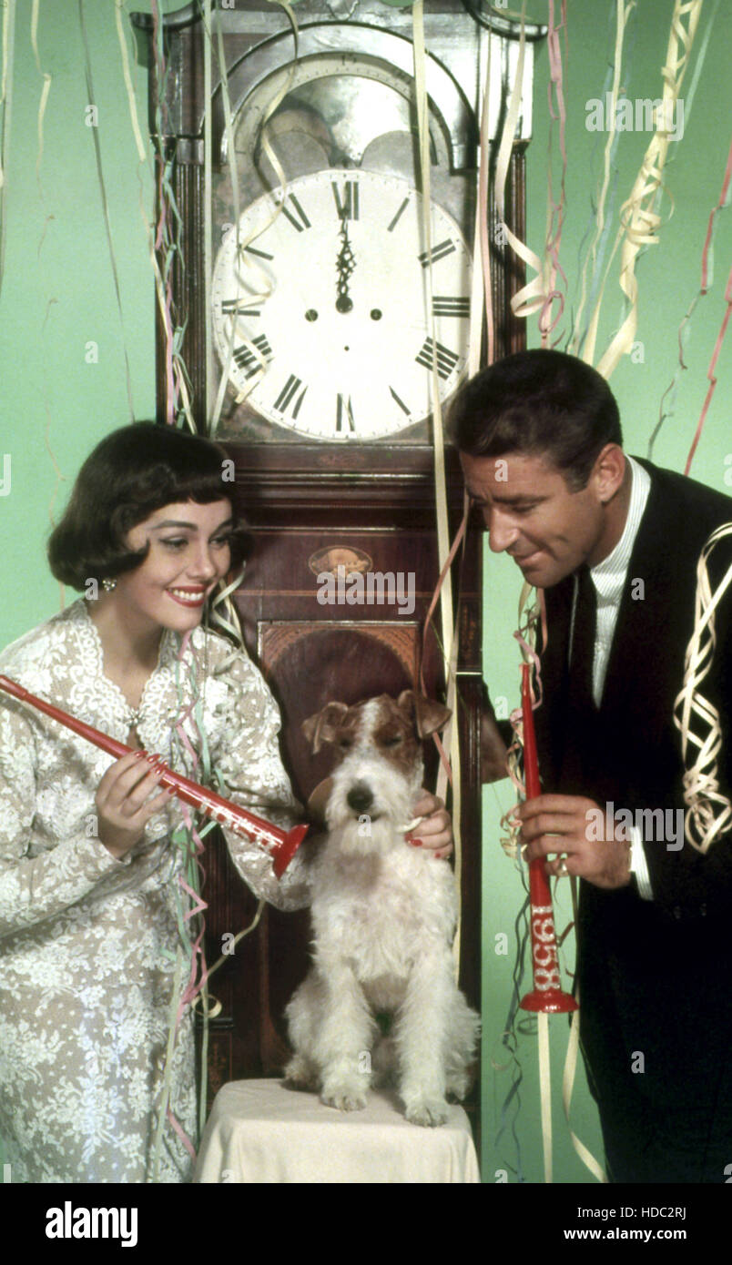 THE THIN MAN, from left: Phyllis Kirk, Asta, Peter Lawford, 1957-59 ...