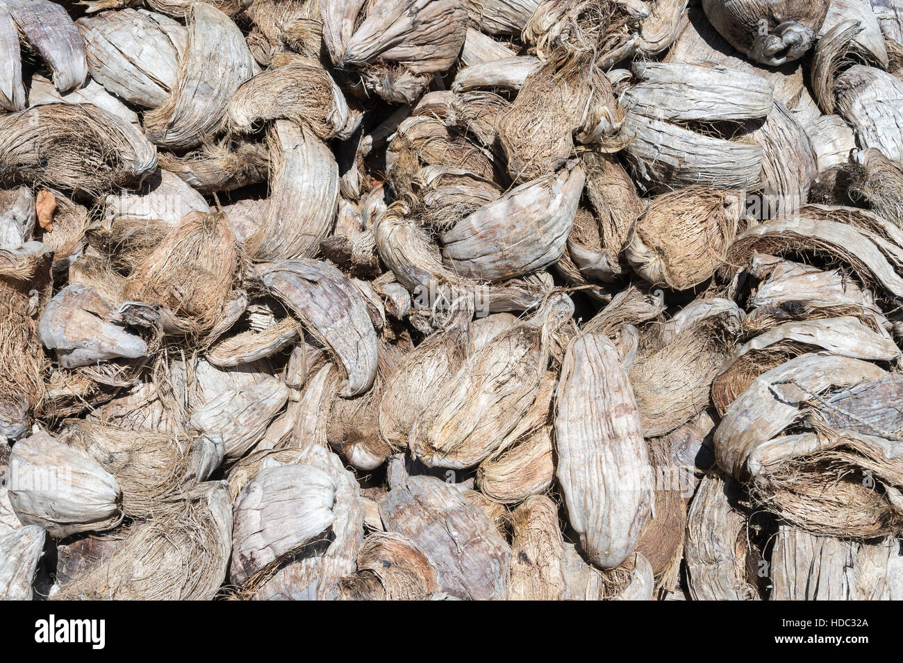 Waste coconut husk hi-res stock photography and images - Alamy