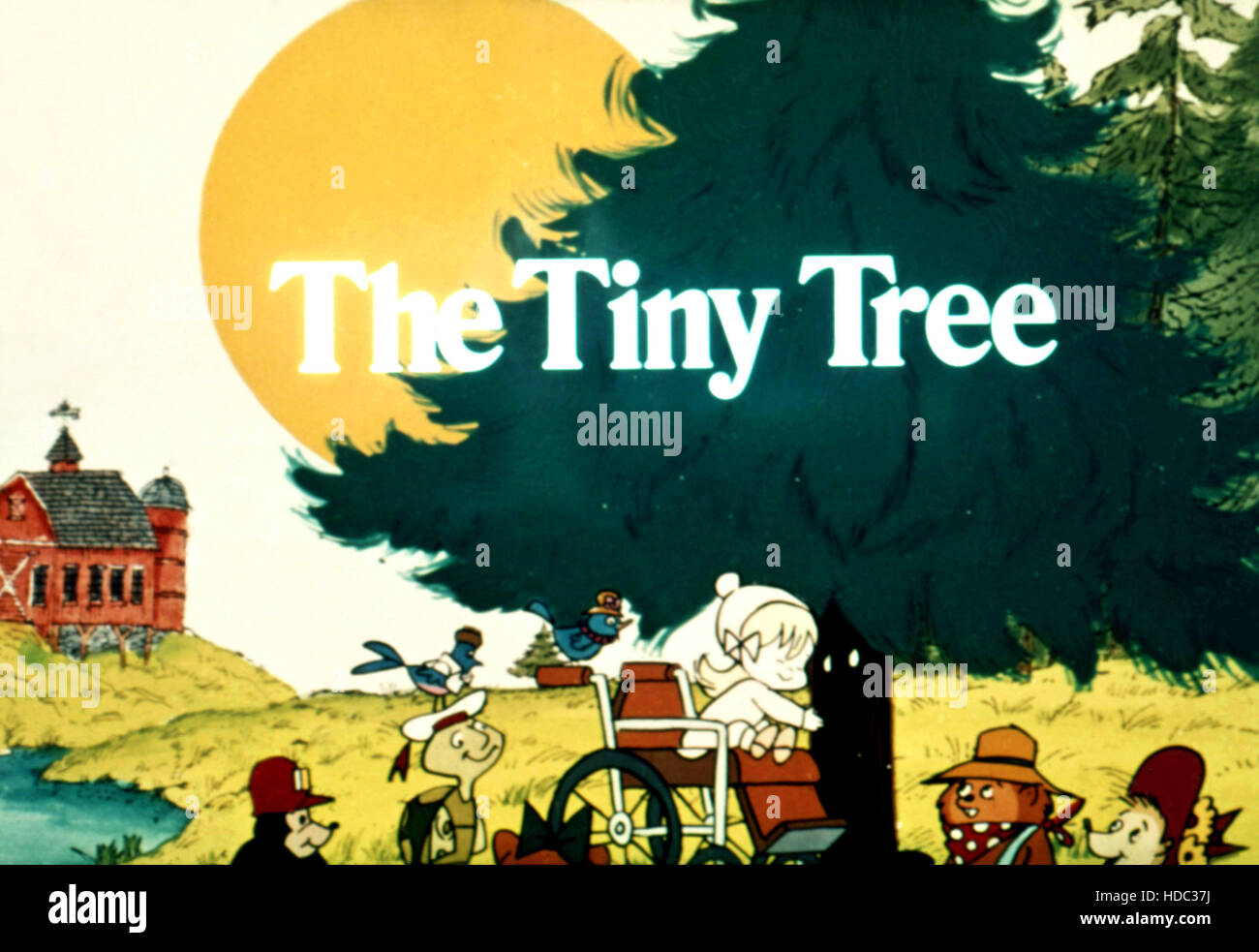 THE TINY TREE, 1975 Stock Photo - Alamy