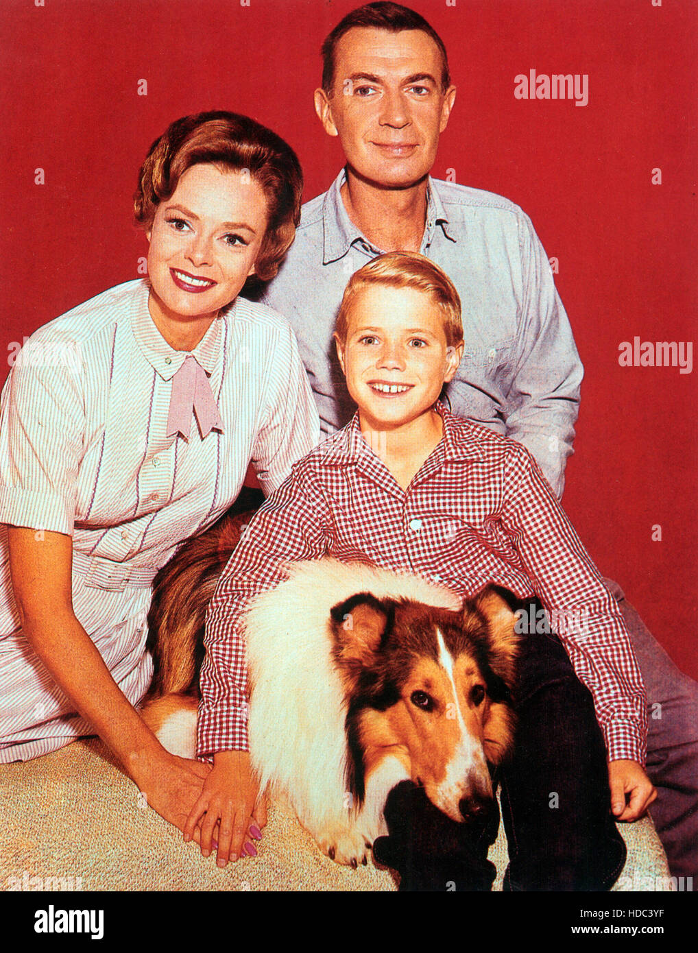 LASSIE, June Lockhart, Hugh Reilly, Jon Provost, Lassie, 1951-1971 ...