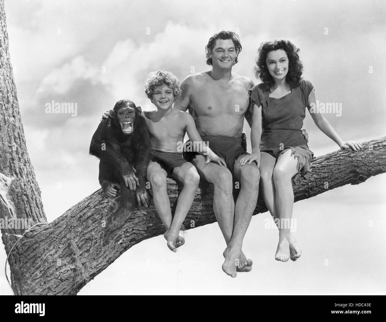 EV1765 - TARZAN and family, Johnny Sheffield, Johnny Weissmuller ...