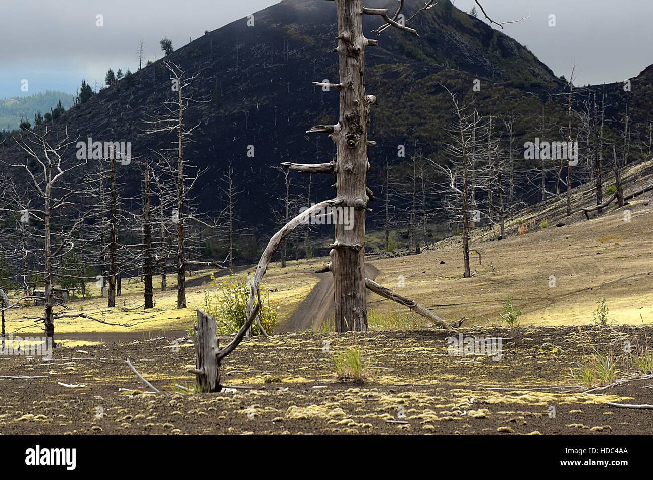 kamchatka peninsula russia Stock Photo - Alamy