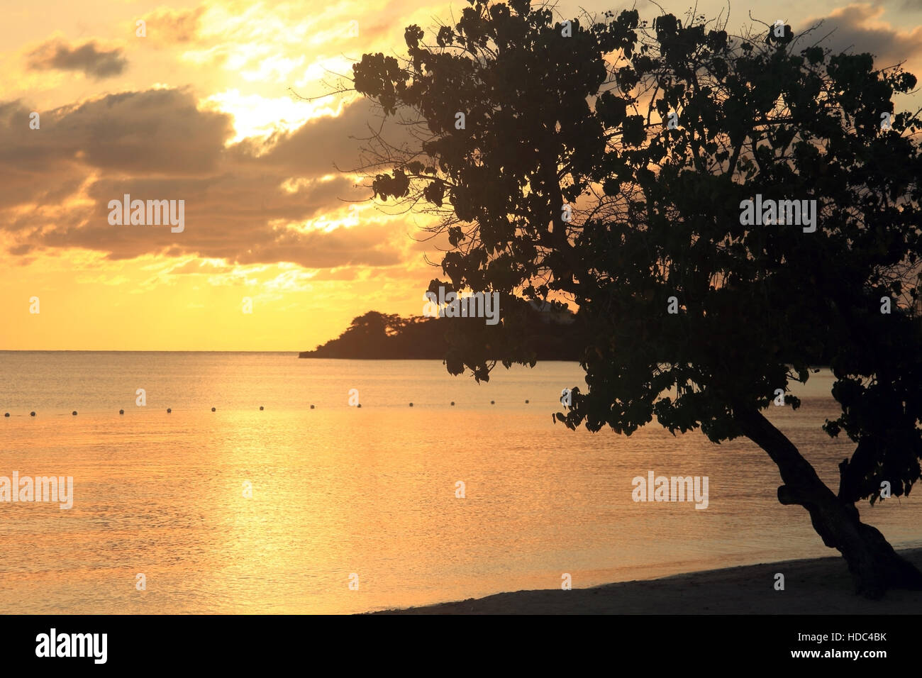 Jamaica beach sunset hi-res stock photography and images - Alamy