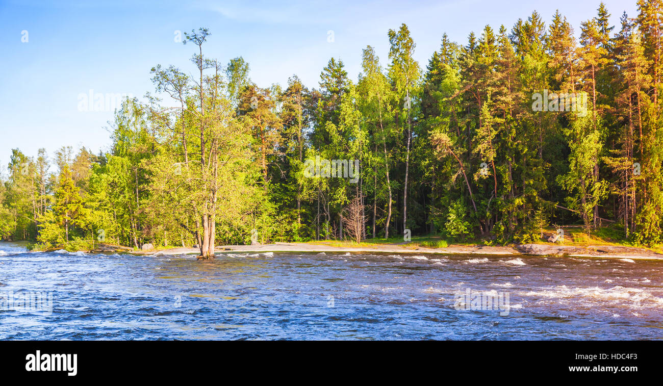 Natural photo background, summer landscape with forest on the river ...