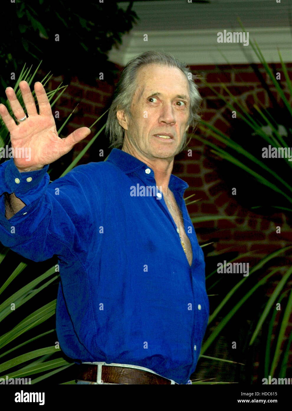 David carradine hi-res stock photography and images - Alamy