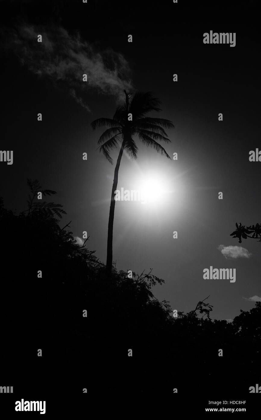 Lifuka island. Ha´apai islands. Tonga. Polynesia Stock Photo - Alamy