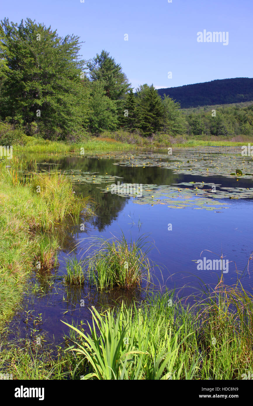 Catskills new york summer hi-res stock photography and images - Alamy