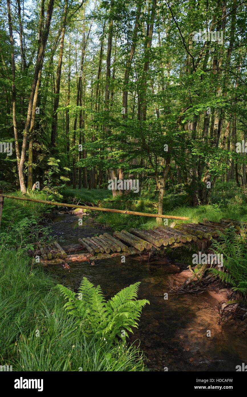 Rotten bridge hi-res stock photography and images - Alamy