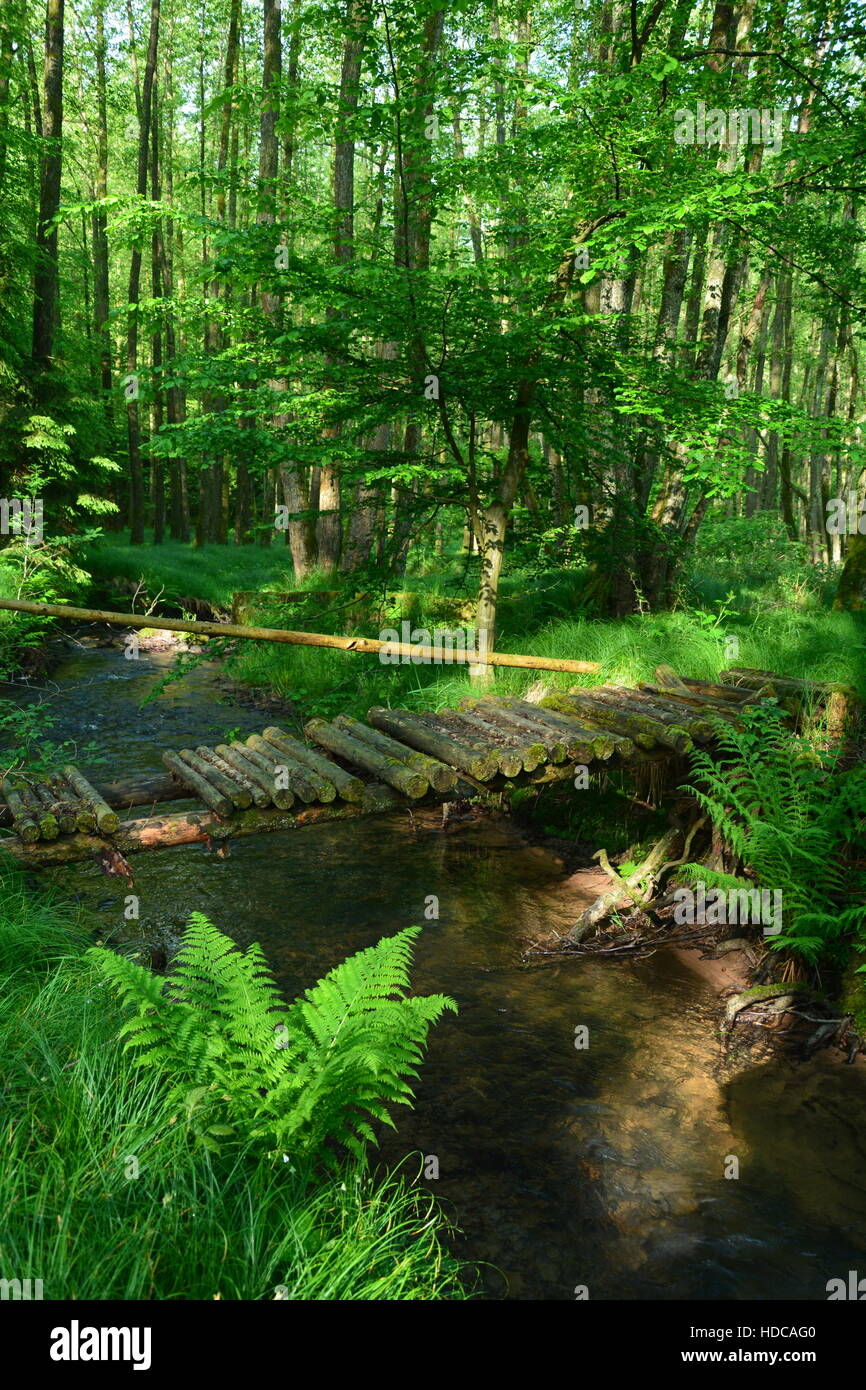 Rotten bridge hi-res stock photography and images - Alamy