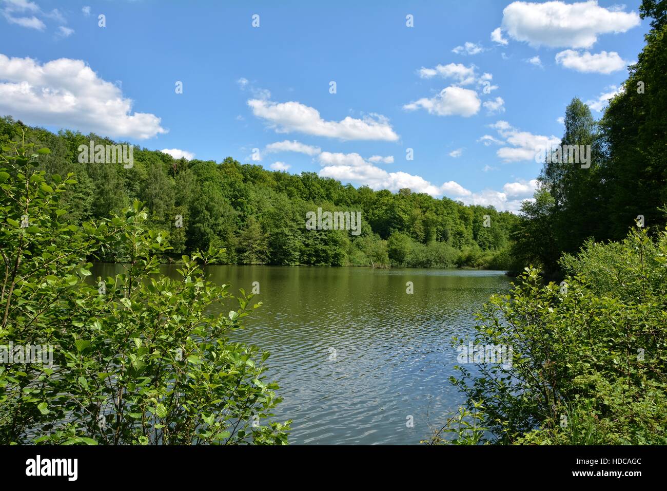 Small lake at the edge of the forest with blue sky and reflection Stock ...