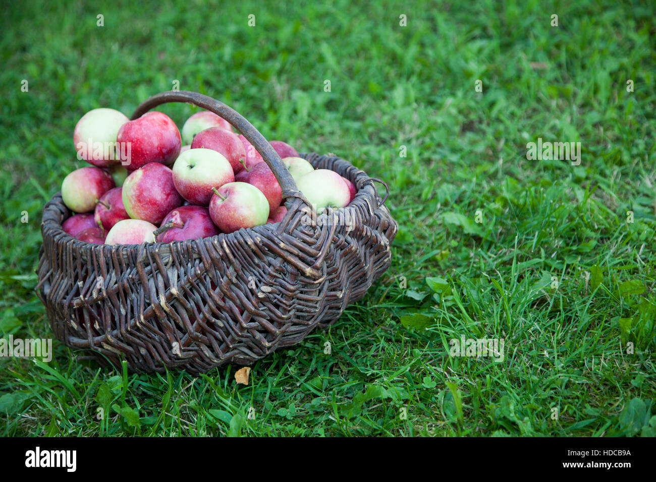 Nature fruit concept Stock Photo - Alamy
