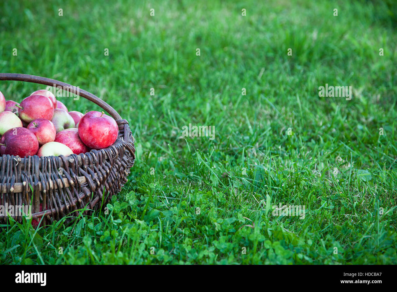 Fall autumn fruit vegetables hi-res stock photography and images - Alamy