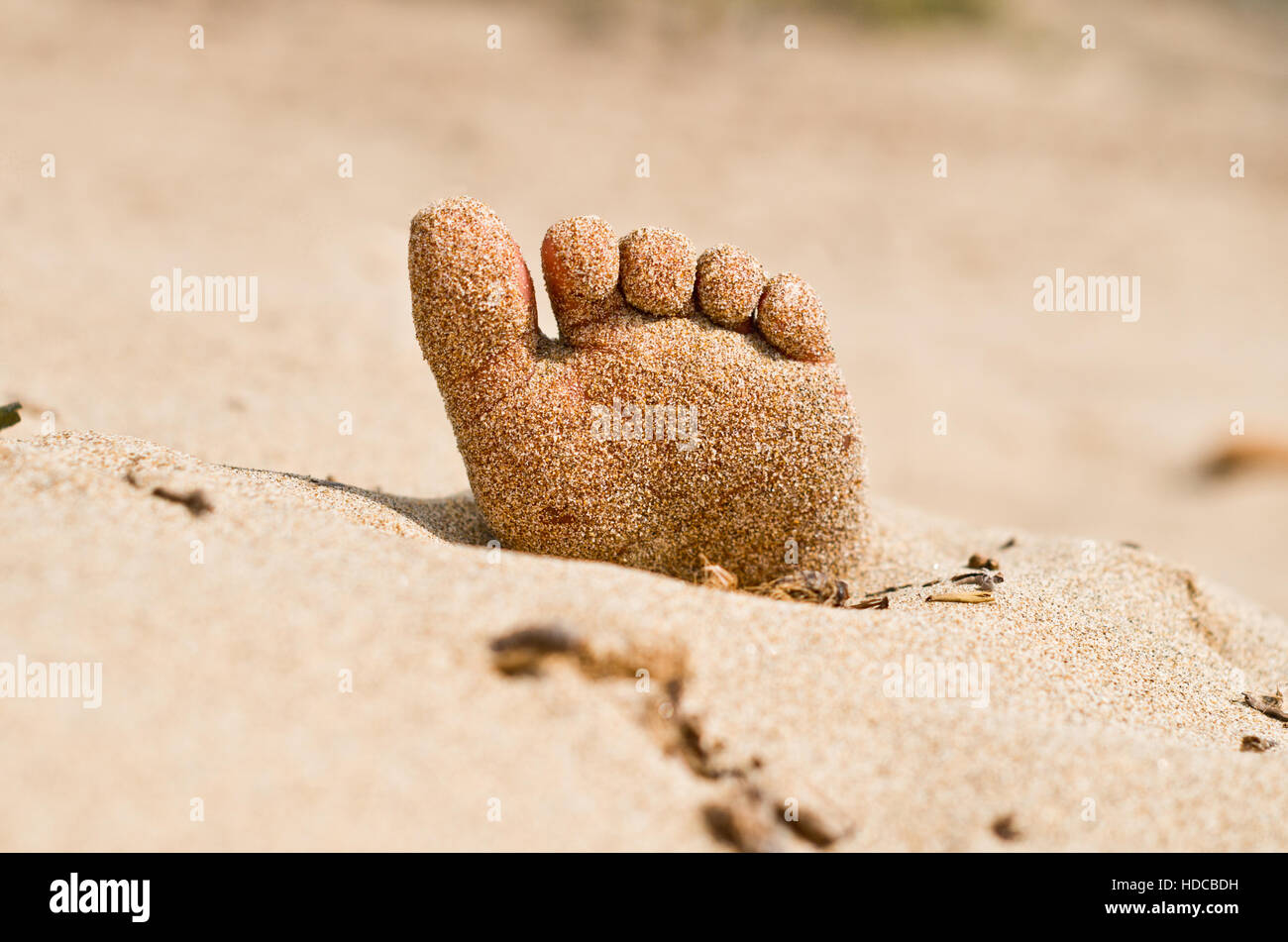 two feet on the beach in rigor mortis protrude from the sand Stock ...