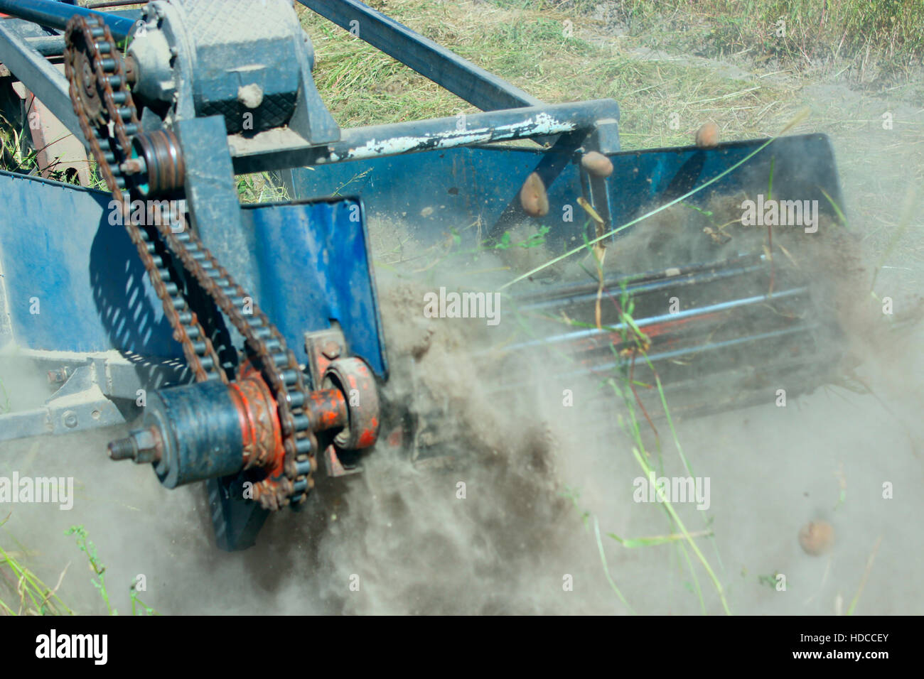 tractor with special equipment for digging the potato Stock Photo - Alamy