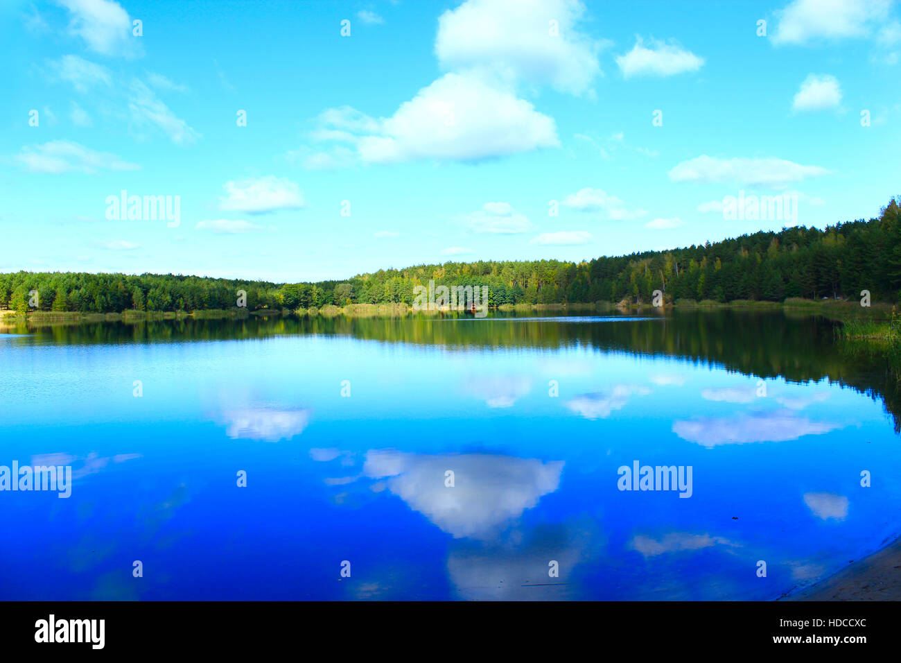 landscape with forest lake and its reflection on the water surface ...