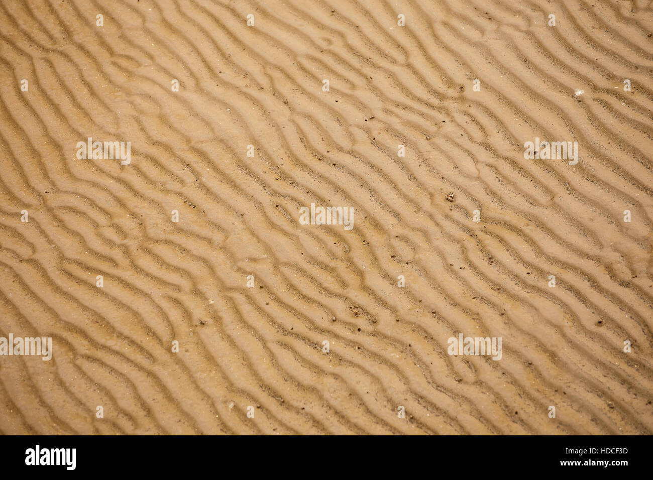 Beach sand ripples Stock Photo - Alamy