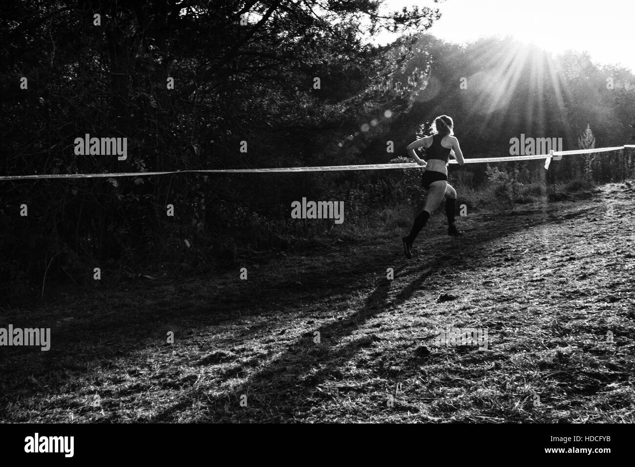 Sarah mcdonald hi-res stock photography and images - Alamy