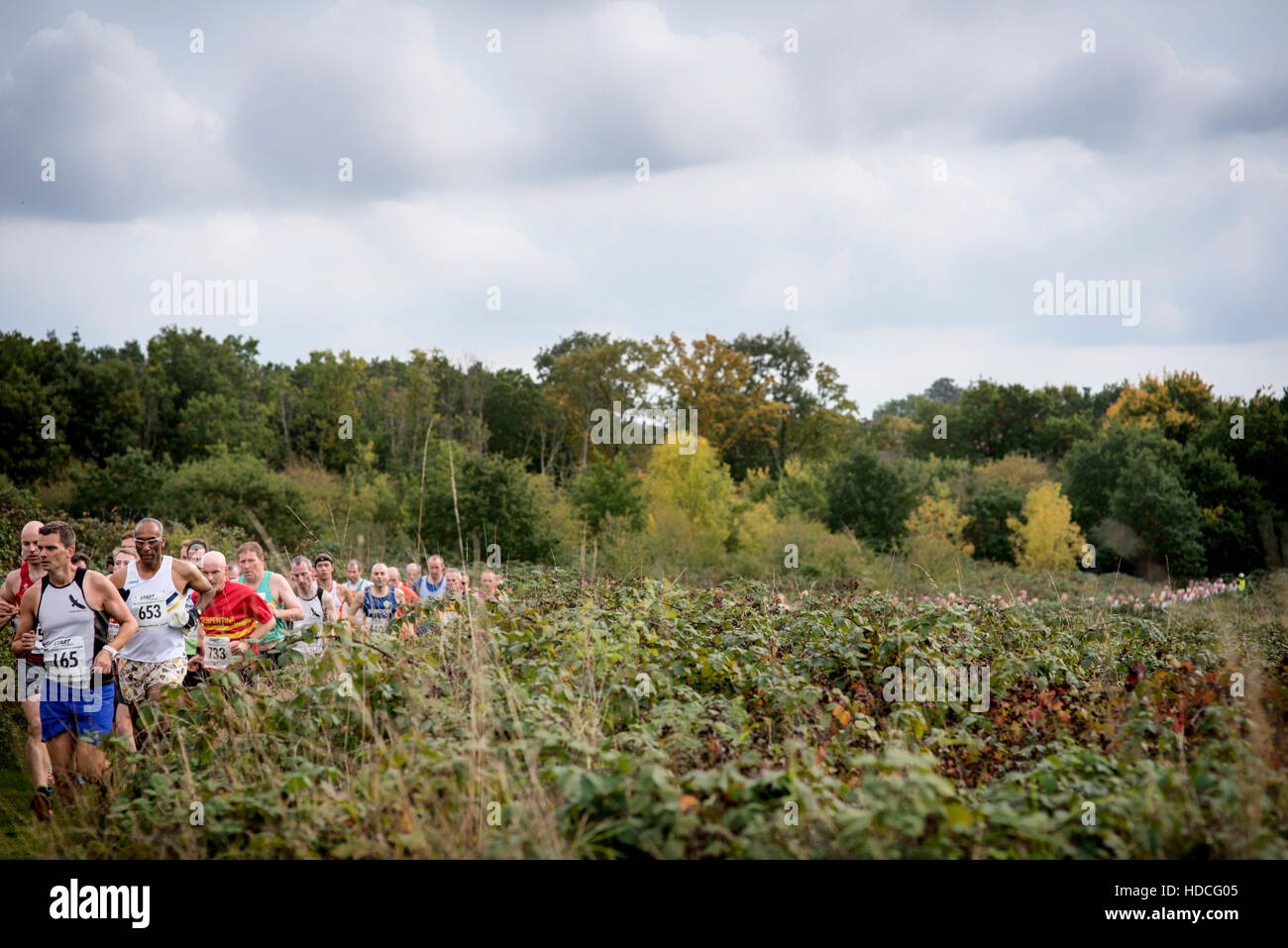 Runners compete in the Metropolitan Cross Country League at Claybury ...