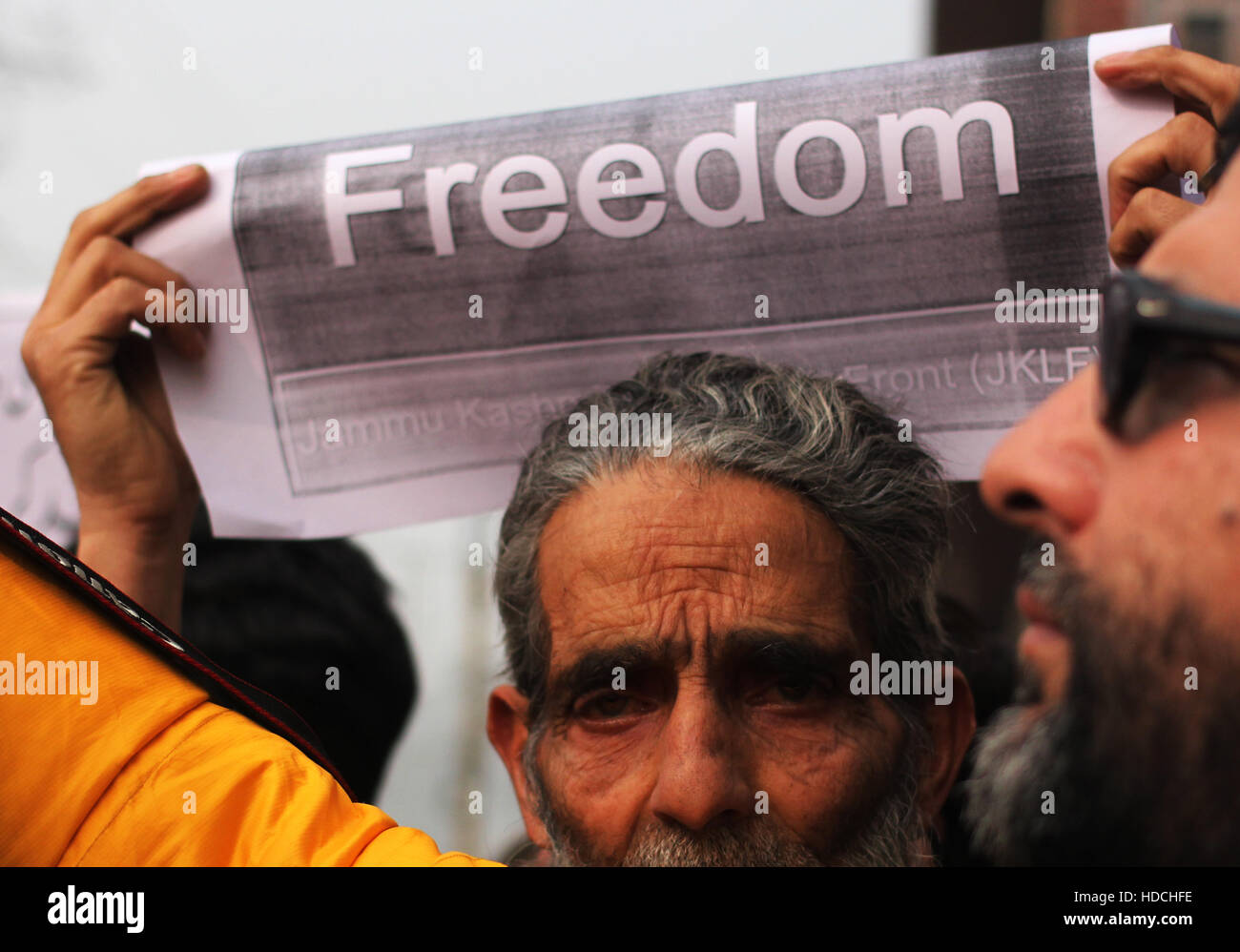 A protester holding placard displaying’ Freedom’ during a protest ...