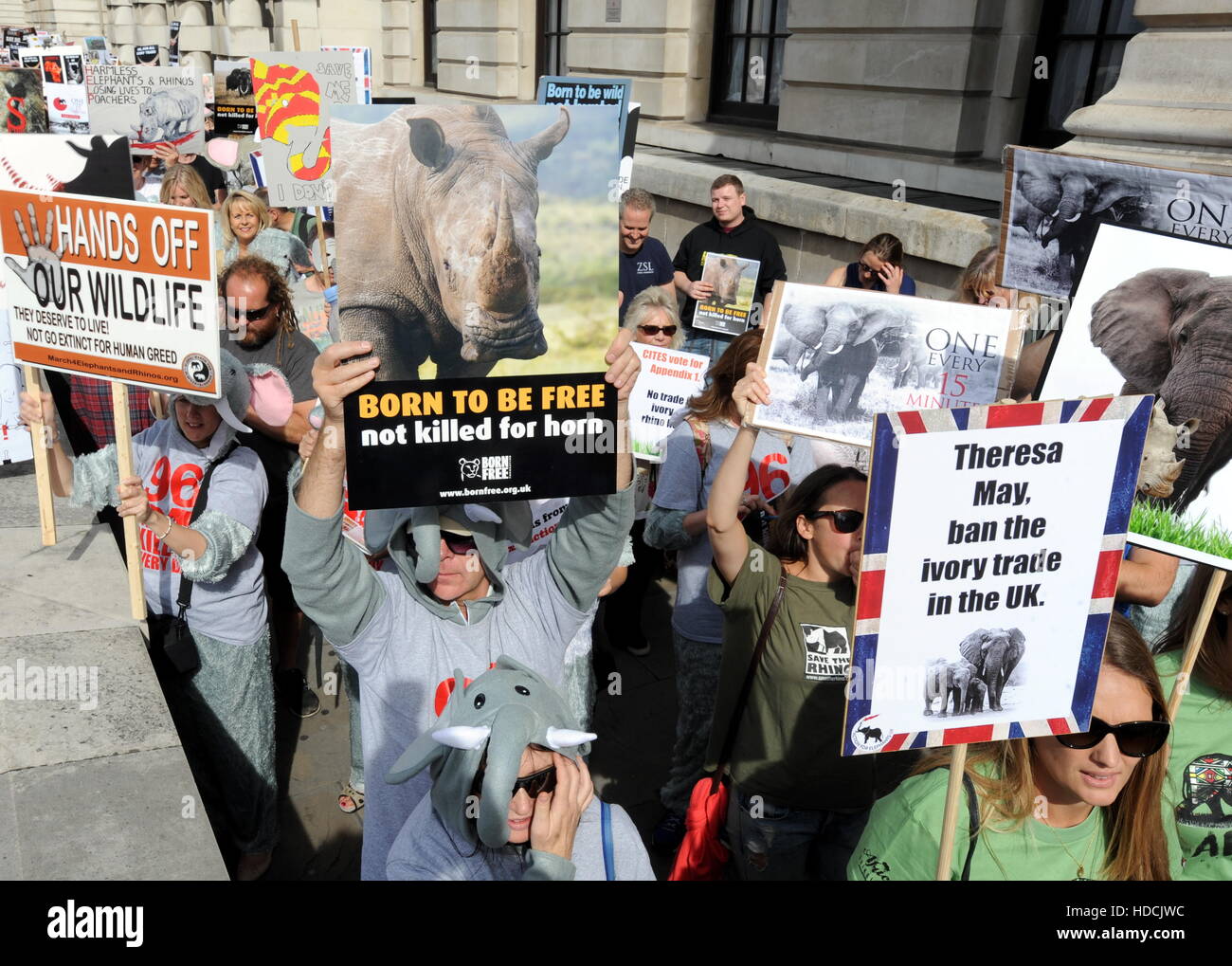 Animal rights campaigners march in London calling for Ivory ban ...